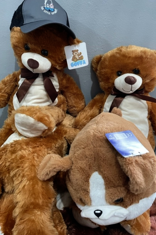 Christmas Teddy Bear Drive 2021 – The Little Optimist Trust